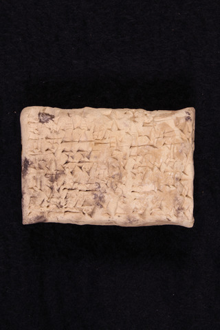 Records | Smith College Finding Aids